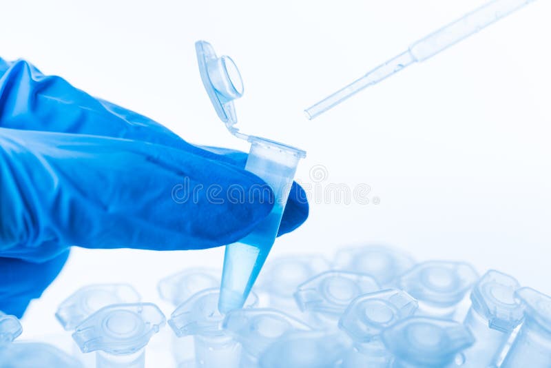 Gloved Hand and Laboratory Test Tubes in a Laboratory. Virus or Vaccine ...