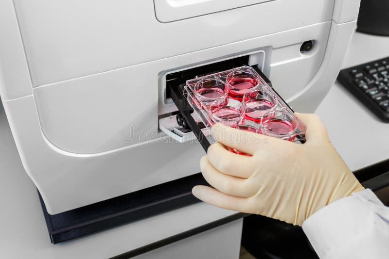 A Gloved Hand Loads a Multiwell Plate with Red Samples into a ...