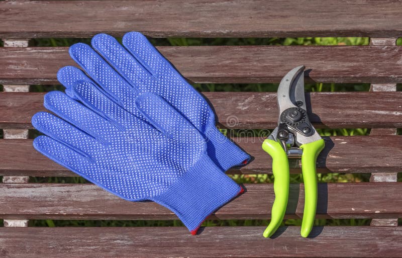 Gloves and Pruning Shears on a Garden Bench Stock Image - Image of ...