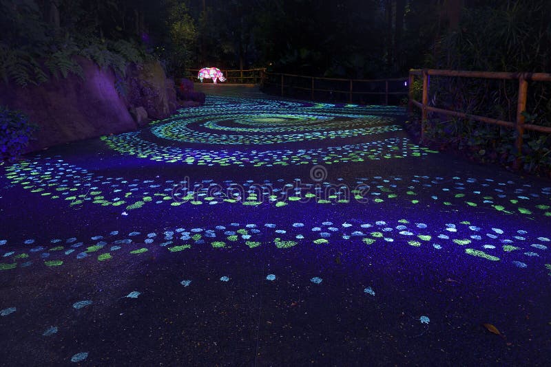 The dark path stock image. Image of forest, monochrome - 24486947