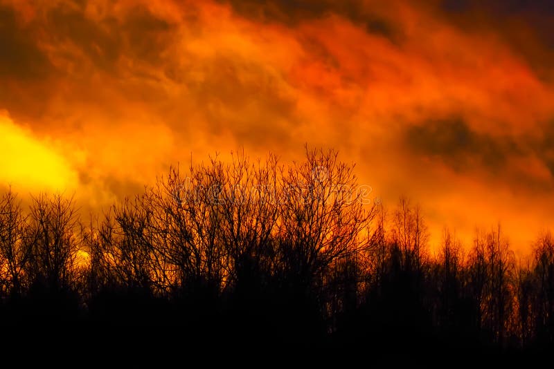 Glow of Fire Over the Wild Forest Stock Photo - Image of burning ...