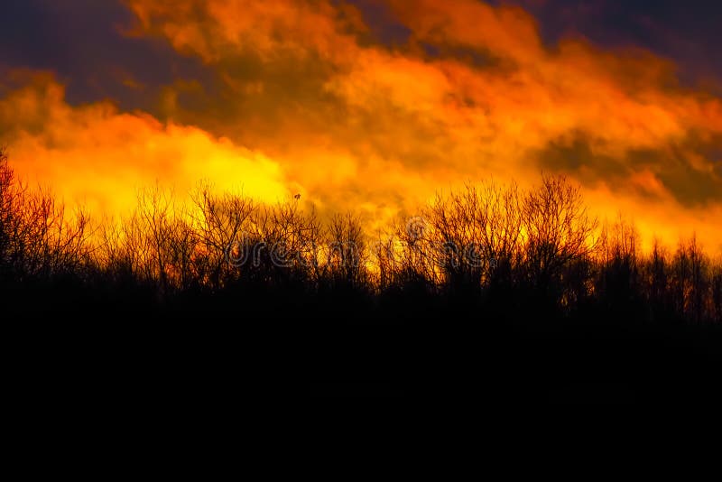 Glow of Fire Over the Wild Forest Stock Image - Image of cloudscape ...