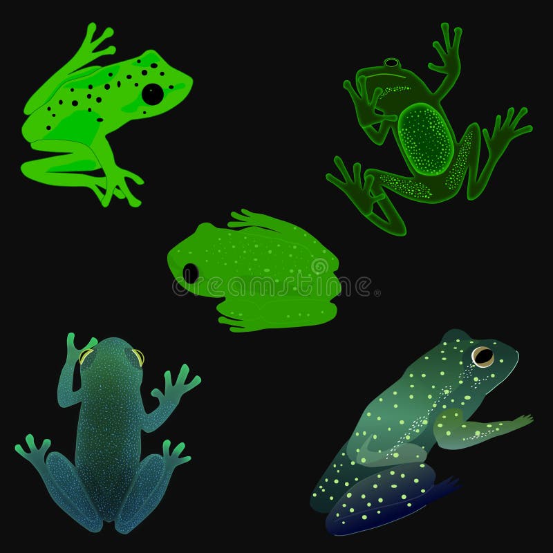 Exotic Frogs Package with Three that Glow and Two that are Glass Stock ...