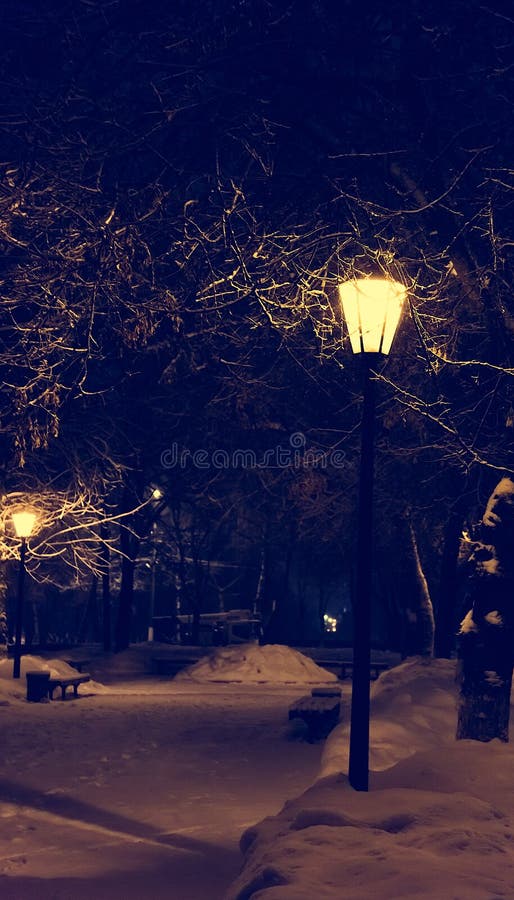 Lantern night snow tree stock image. Image of night - 109404109