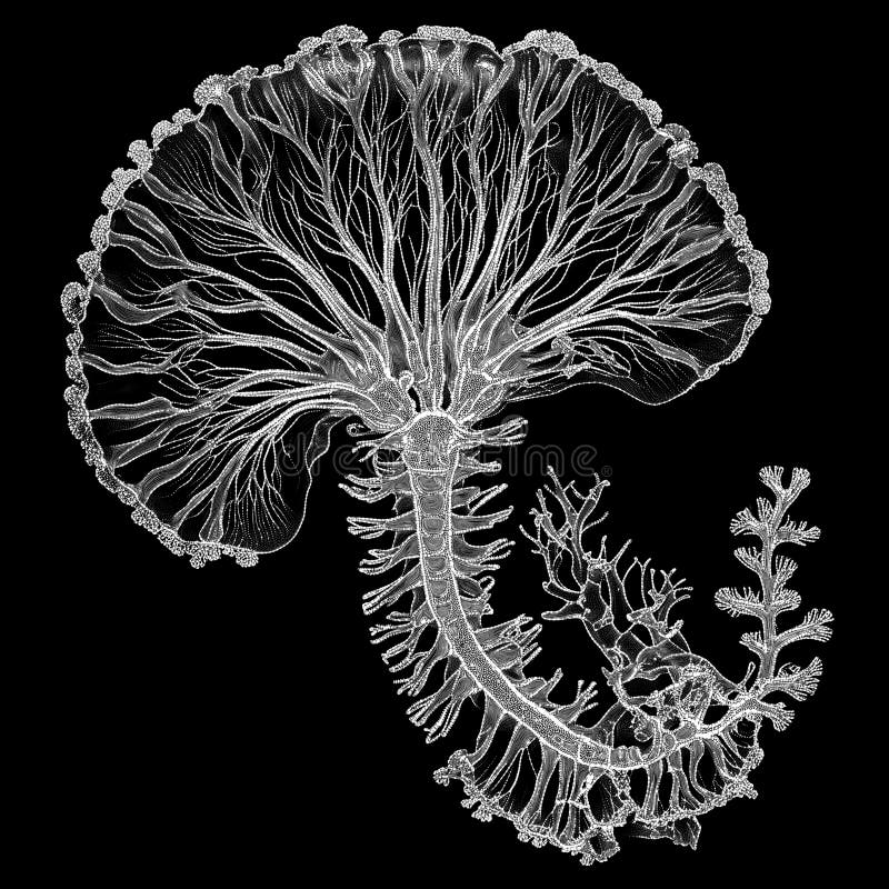 Glow of life dots stock illustration. Illustration of artistic - 313962949