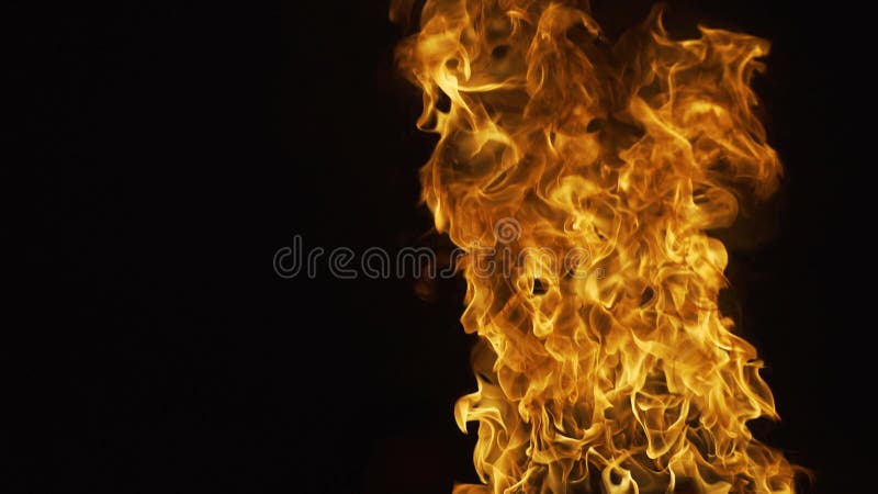 Glow Shine Flame. Fire on a Black Background. Abstract Fire Flame ...