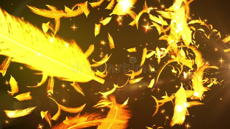 Glow Shiny Feather Particle Loop Animation Stock Footage - Video of ...