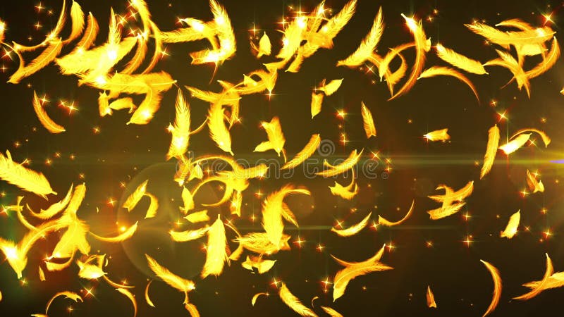Glow Shiny Feather Particle Loop Animation Stock Footage - Video of ...