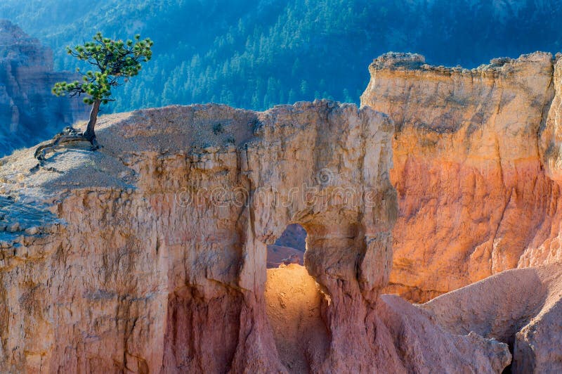 Glowing Arch stock photo. Image of landmark, environment - 3213418