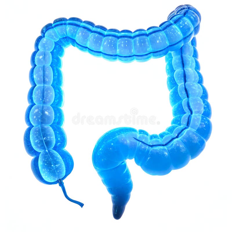 Glowing blue intestine stock illustration. Illustration of background ...