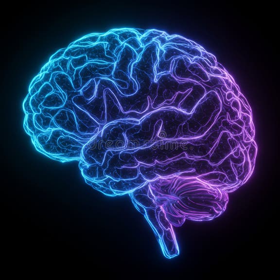 Glowing Blue and Purple Human Brain Digital Rendering Stock ...