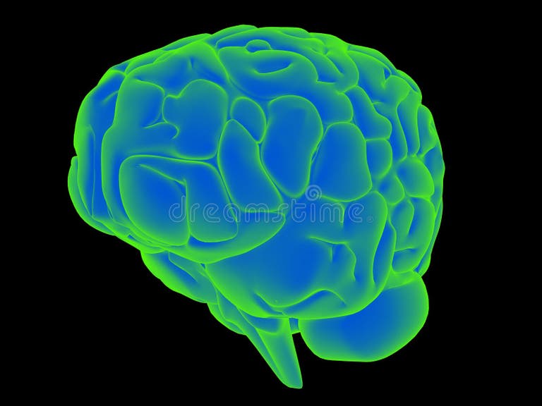 Glowing Brain Model Stock Illustrations – 573 Glowing Brain Model Stock ...