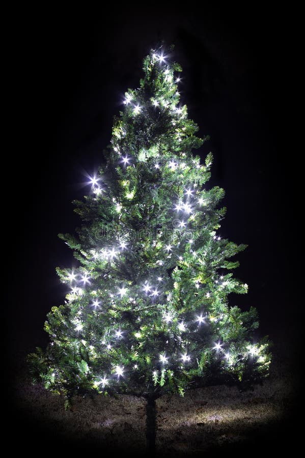 Glowing Christmas Treee Outside at Night Stock Photo - Image of minimal ...