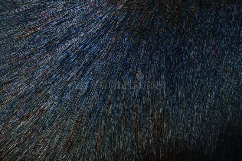 Glowing Edge Art Design Abstract Texture Background Stock Photo - Image ...