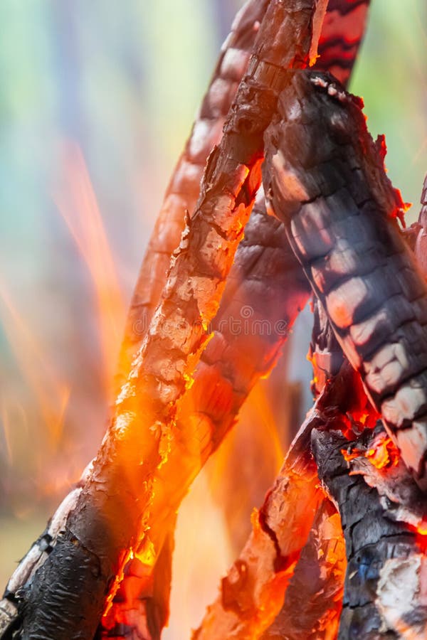 Glowing Embers of a Campfire at Dusk Providing Warmth and Light for ...