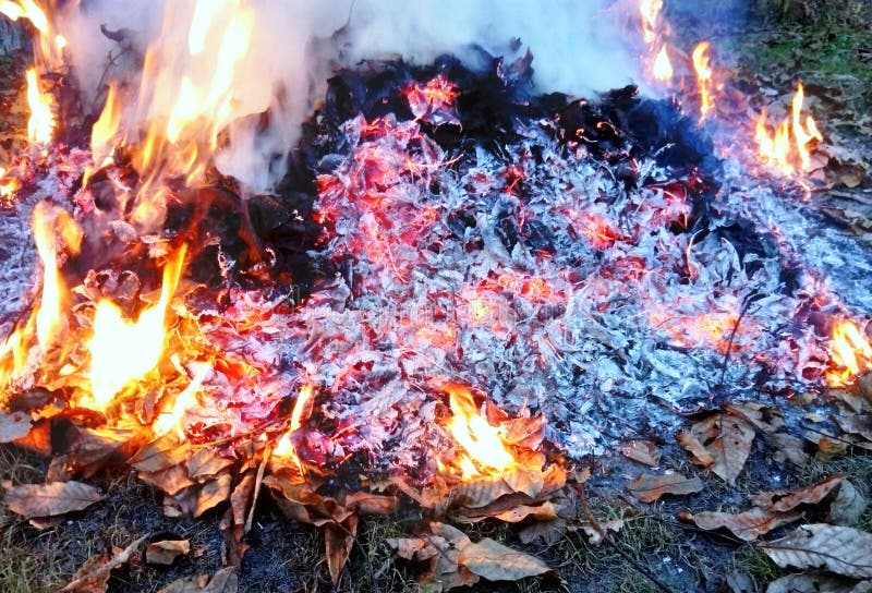 Glowing Embers Fire and Smoke Stock Photo - Image of ashes, garden ...