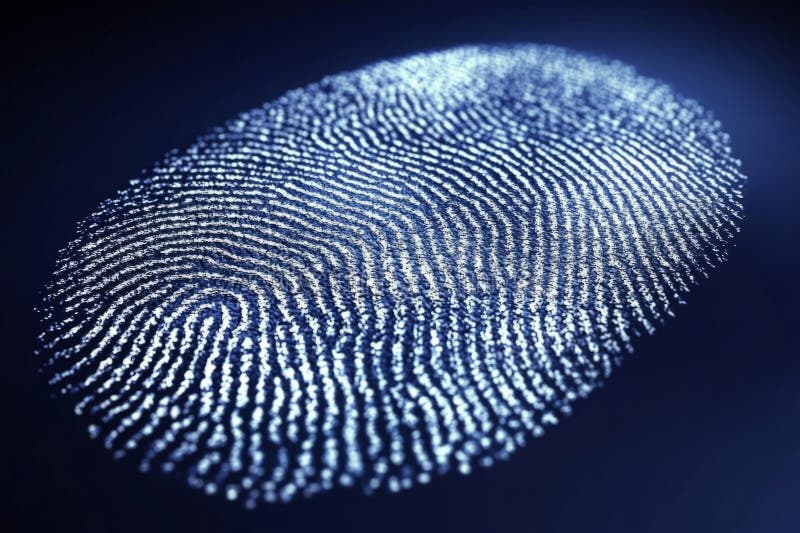 Glowing Fingerprint on Dark Blue Background Representing Identity ...