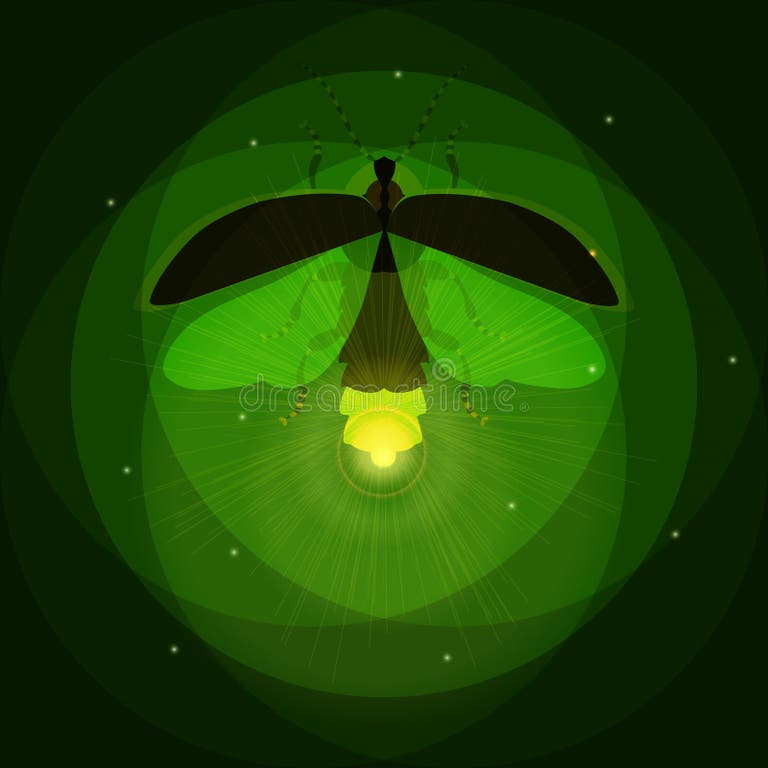 Firefly Stock Illustrations – 20,851 Firefly Stock Illustrations ...