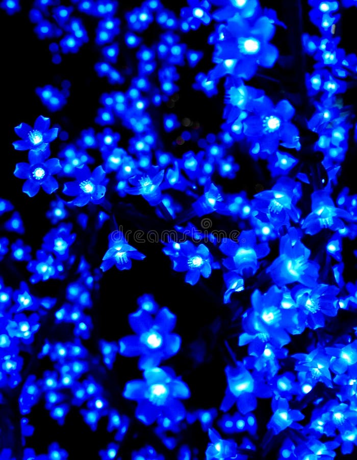 Blue Glowing Flower