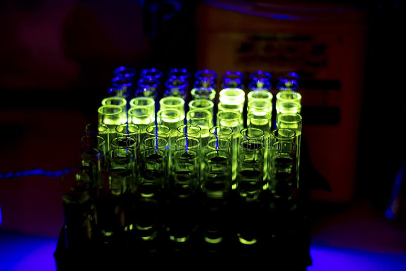 Glowing Fluorescent Compound Collected from Column Chromatography in a ...