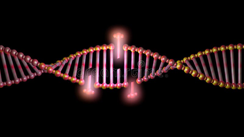 Glowing Multicolored DNA Molecule Strands. Horizontal View 2 . Semi ...