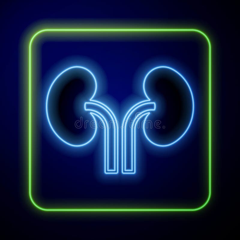 Glowing Neon Human Kidneys Icon Isolated on Blue Background. Vector ...