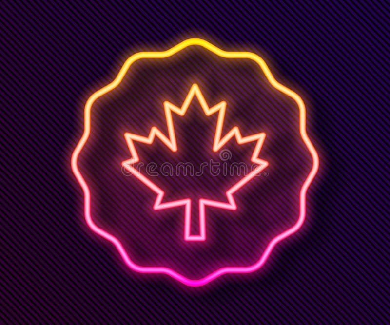 Glowing Neon Line Canadian Maple Leaf Icon Isolated on Black Background ...