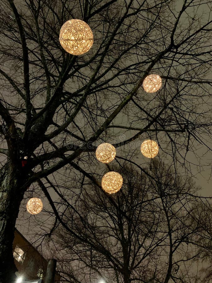 Glowing Orbs Hanging from Bare Trees Stock Photo - Image of holiday ...