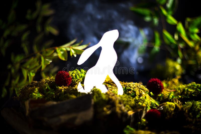 Glowing Rabbit in a Magical Still Life Stock Image - Image of magic ...