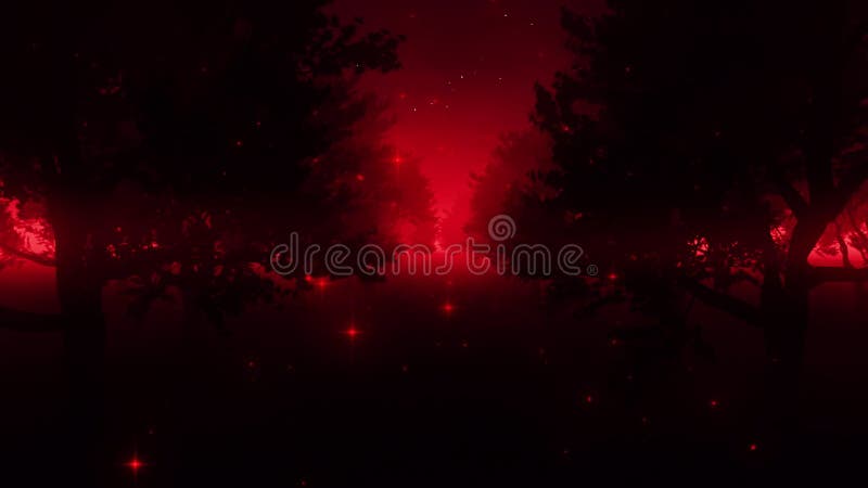 The Magical Forest of the Enchanted Book - Nature Landscape Loop ...