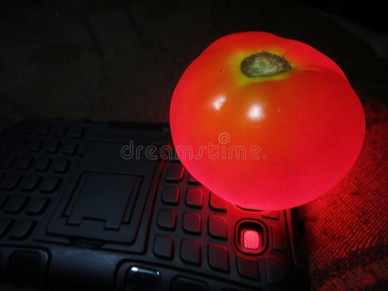 Glowing Red Tomato on Android Phone`s Flash Light. Stock Image - Image ...