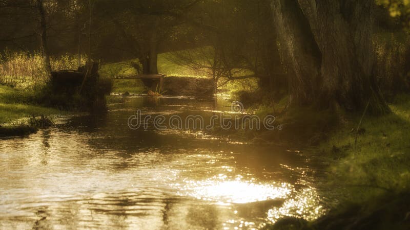 Glowing Rural Stream with Sun Shining Off the Water Stock Photo - Image ...