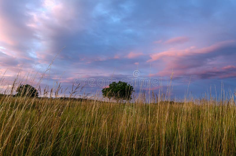 Glowing Sky at Dusk on a Summer Evening Over a Meadow Stock Image ...