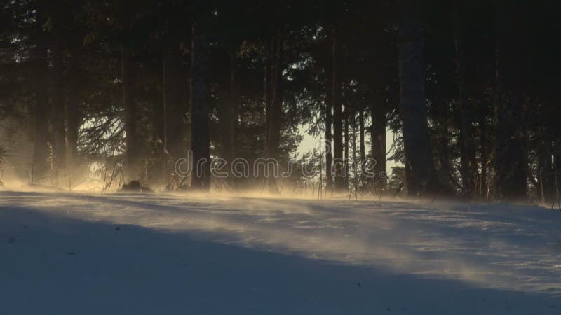 Glowing snow wind blast stock footage. Video of appalachian - 93556048