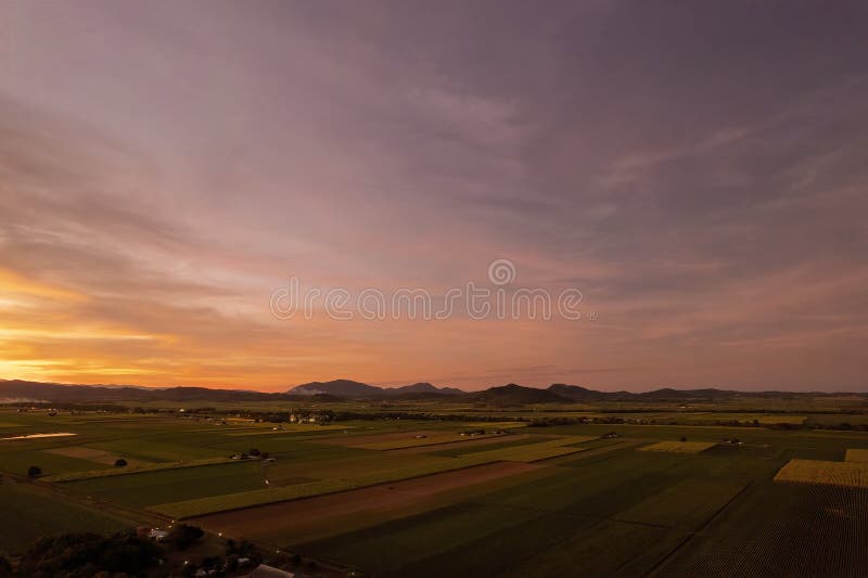 Glowing Soft Orange Light Over Cane Fields As the Sun Goes Down Stock ...