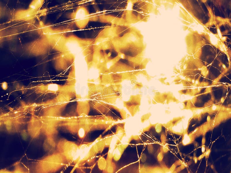 Glowing Spider Web stock photo. Image of luminescence - 40625136