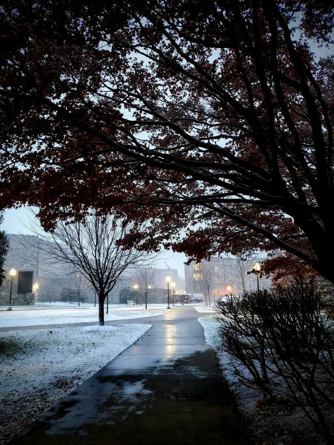 Glowing streetlights stock photo. Image of frozen, frost - 330214362