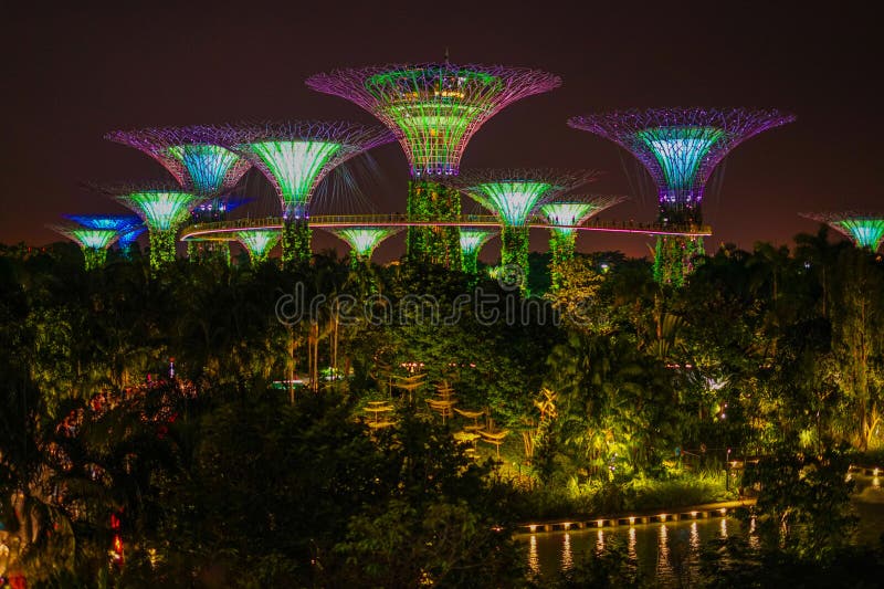 Glowing super trees stock image. Image of structure - 357075169