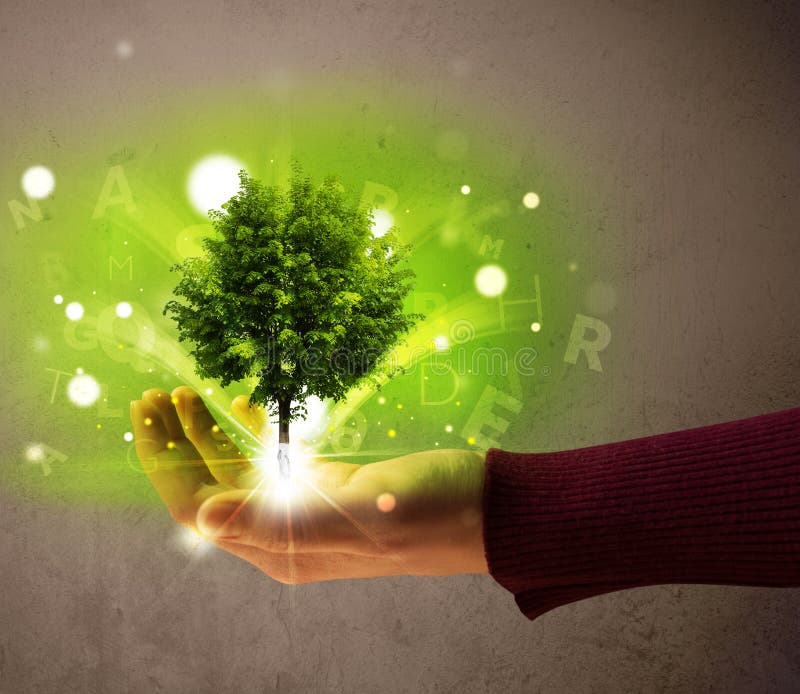 Glowing Tree Growing in the Hand of a Woman Stock Image - Image of ...