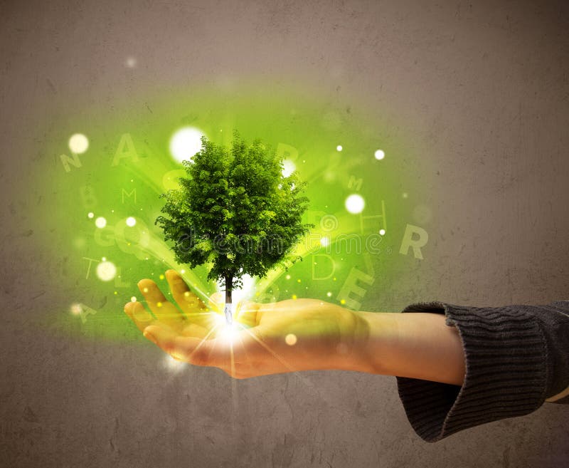 Glowing Tree Growing in the Hand of a Woman Stock Photo - Image of ...