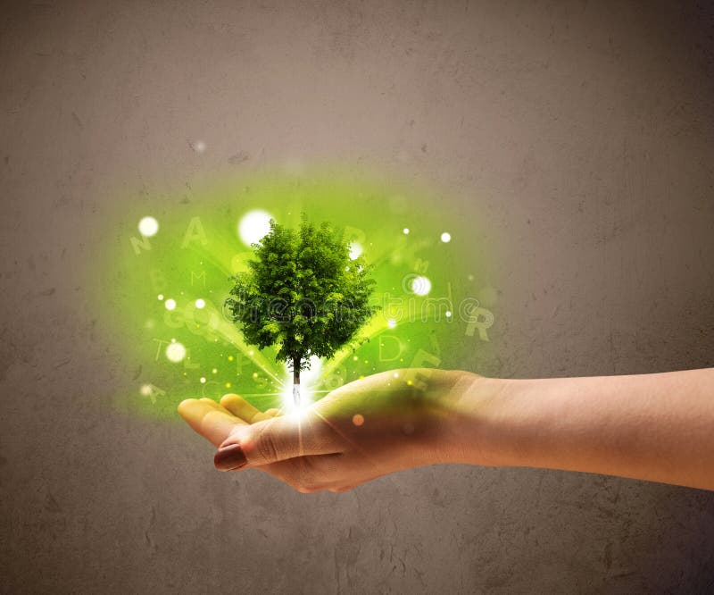 Glowing Tree Growing in the Hand of a Woman Stock Photo - Image of life ...
