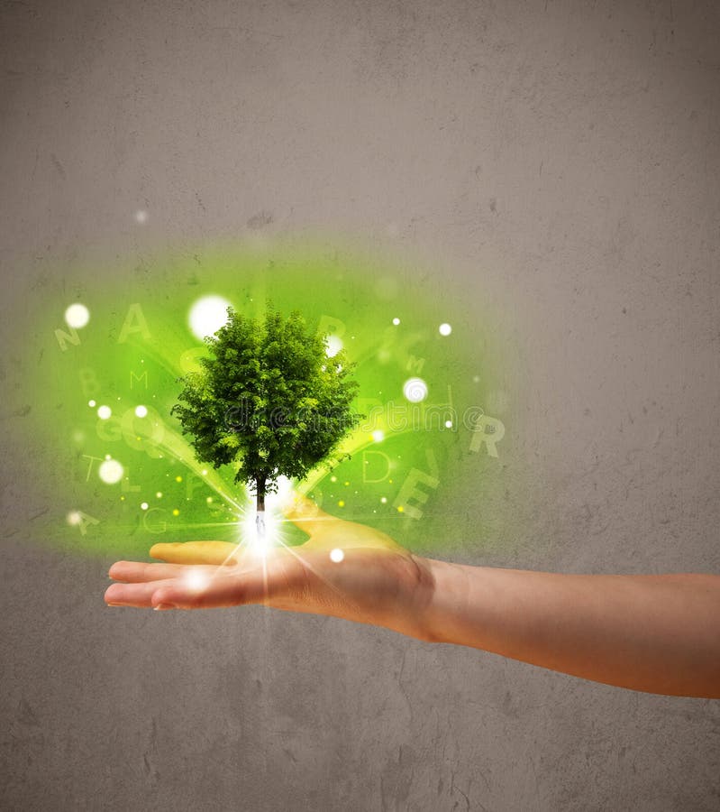 Glowing Tree Growing in the Hand of a Woman Stock Image - Image of ...