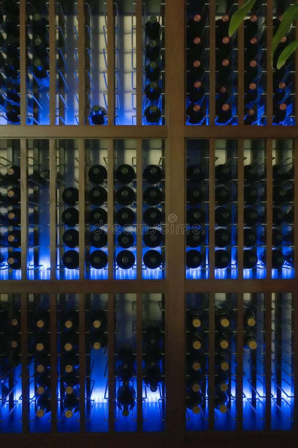 Glowing wine rack stock photo. Image of interior, rack - 6031990
