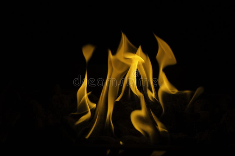 Yellow Flames of Burning Wood on Bonfire Stock Photo - Image of forest ...