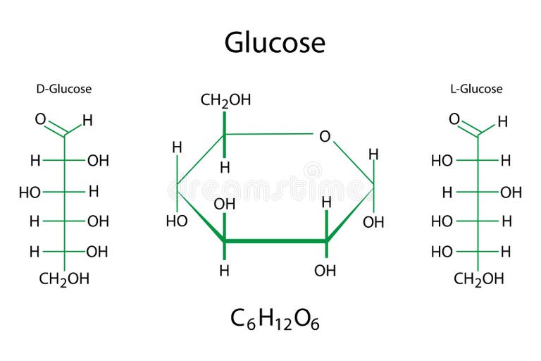 Hexose Sugar Structure Stock Illustrations – 47 Hexose Sugar Structure ...