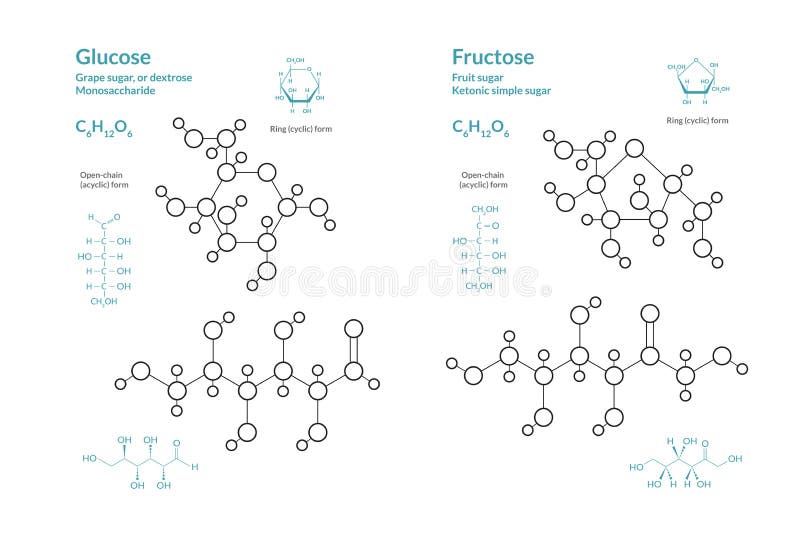 Fructose Linear Structure