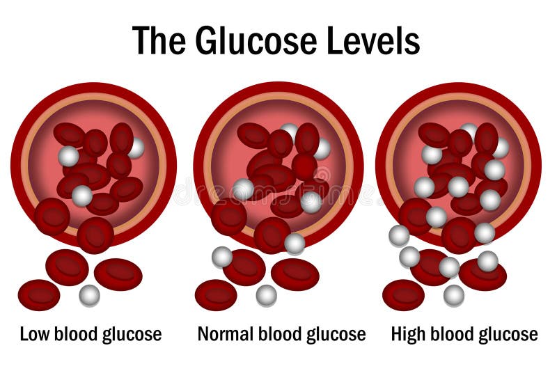 Glucose Level with Blood Vessel Stock Illustration - Illustration of ...