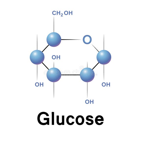 Glucose Molecule Stock Illustrations – 2,039 Glucose Molecule Stock ...