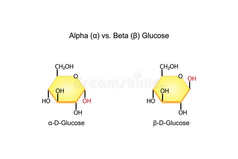 Alpha Versus Beta Glucose. Chemical Structure. Chemistry Scientific ...