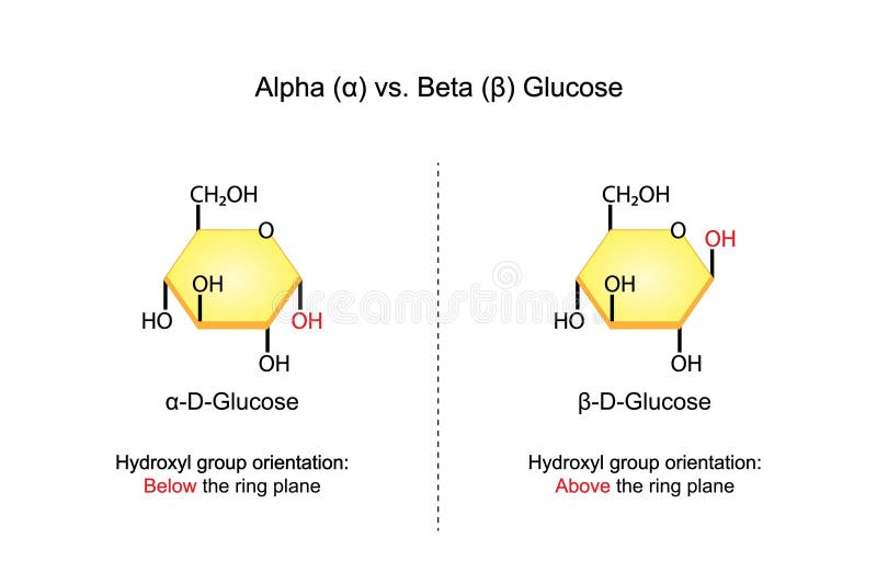 Alpha Versus Beta Glucose. Chemical Structure. Chemistry Scientific ...